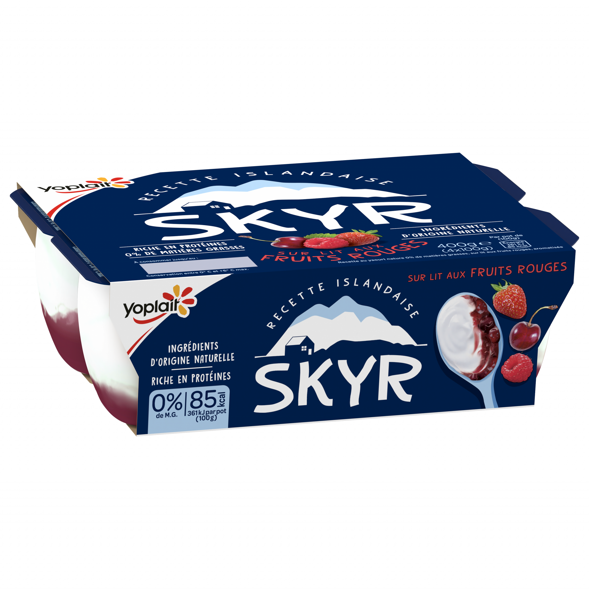 SKYR — Yoplait SKYR — Yoplait