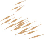 Yaourt à boire aux fruits format 180g — Yop de Yoplait